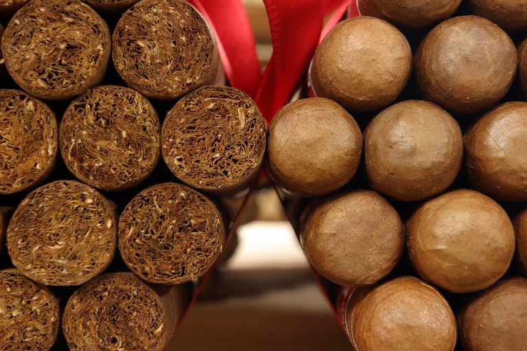 Cigare "Le Navarre", seul cigare 100% Français. - Serge Moulia